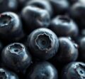 Can Blueberries Go Bad : What You MUST Know - Freeze Know-How