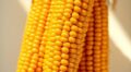 Can Corn Go Bad : What You MUST Know - Freeze Know-How