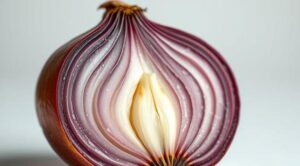 Freeze & Refreeze Onion : What You MUST Know - Freeze Know-How
